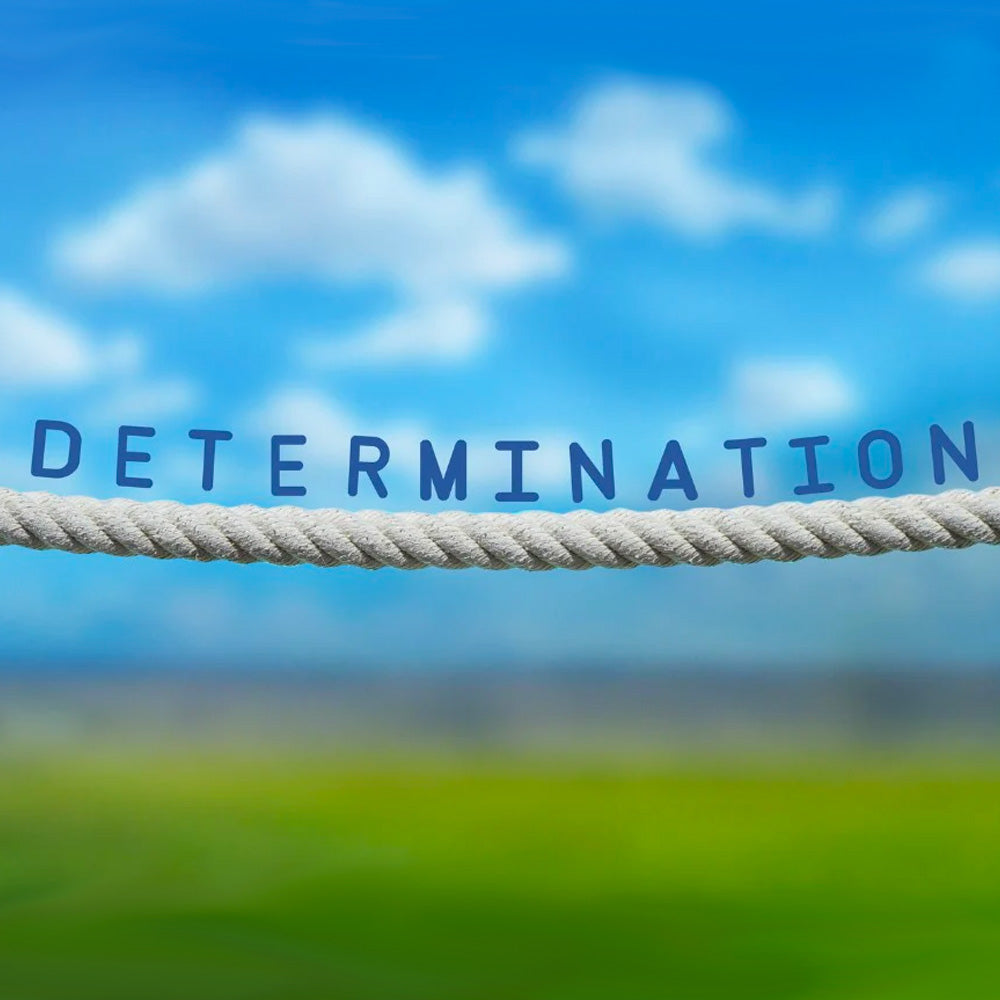 When you Turn Frustration into Determination to Lead to Transformation ...